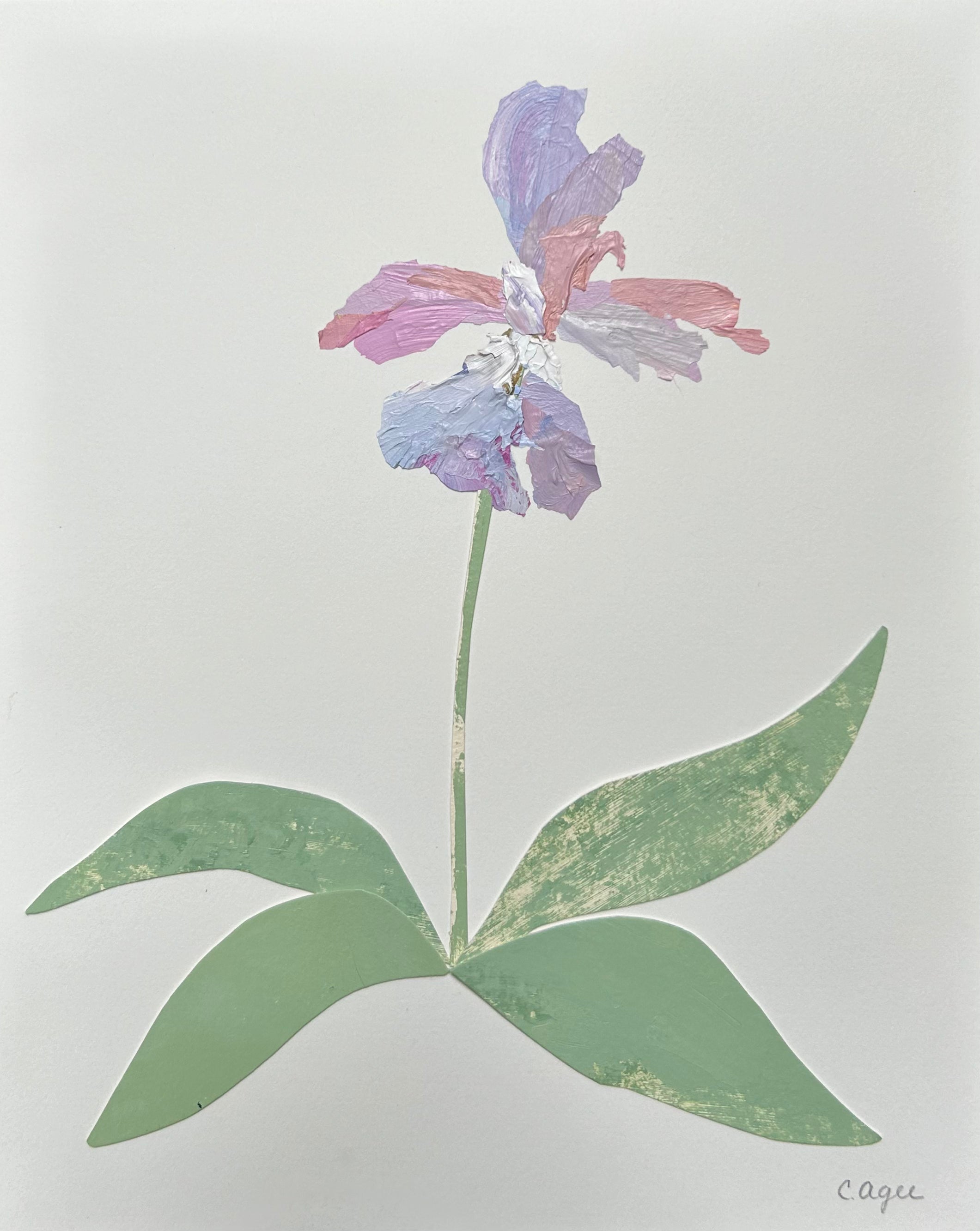 Iris Collage by Caroline Agee – Tuckahoe Home